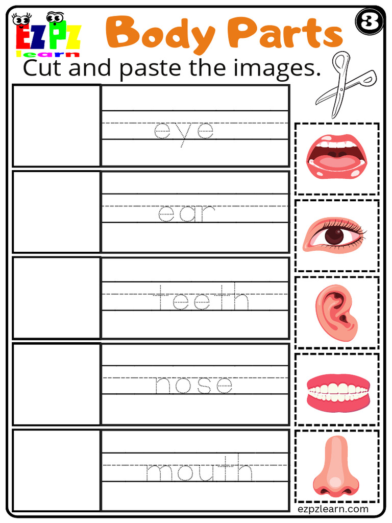 3 Body Parts Cut and Paste | PDF