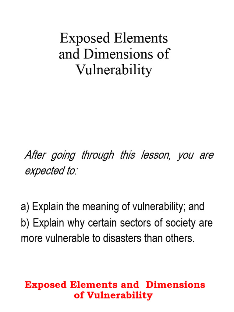 Exposed Elements | PDF | Hazards | Vulnerability