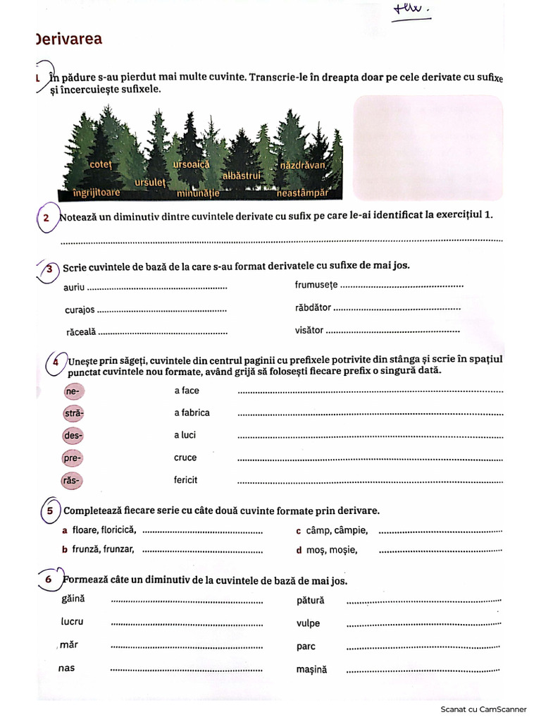 Tema Caietul Elevului | PDF