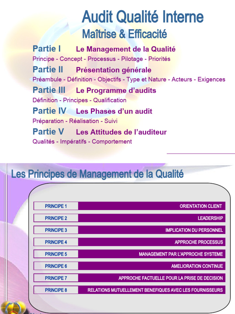 Audit Qualité Interne Maitrise Et Efficacite | PDF | Management de la qualité | Audit