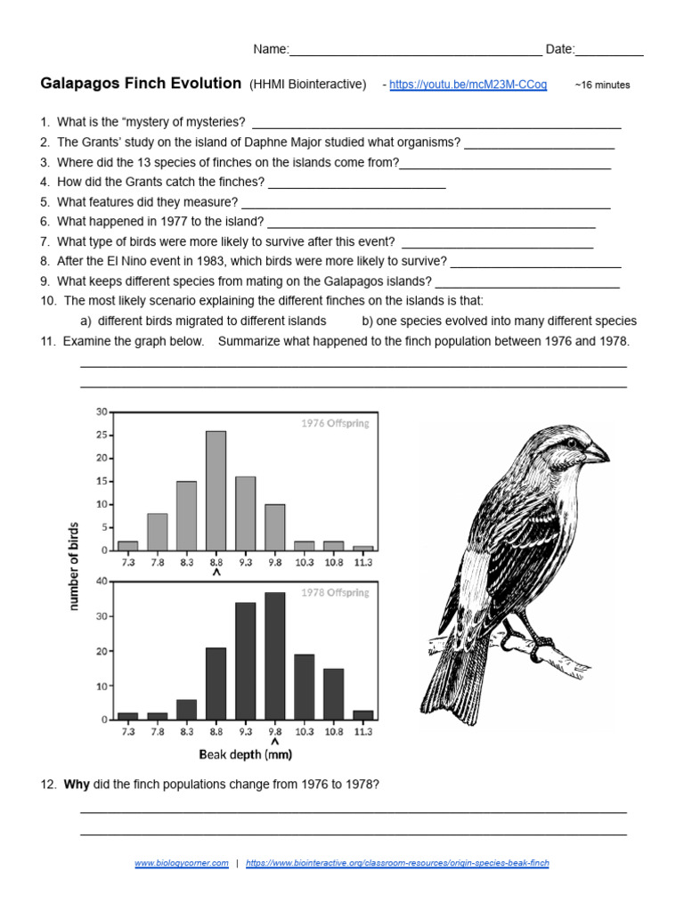 Galapagos Finch Evolution Worksheet | PDF