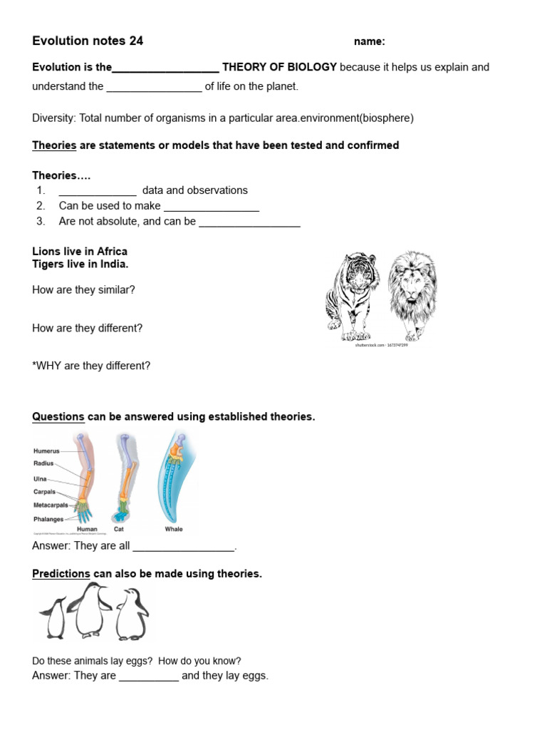 Guided Notes Evolution Bio 24 | PDF | Evolution | Genetic Variation