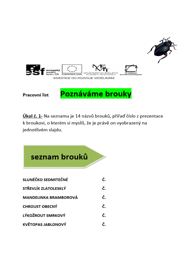 Pracovní List Poznáváme Brouky | PDF