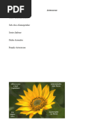 Botanical Latin Terms Cheat Sheet | PDF
