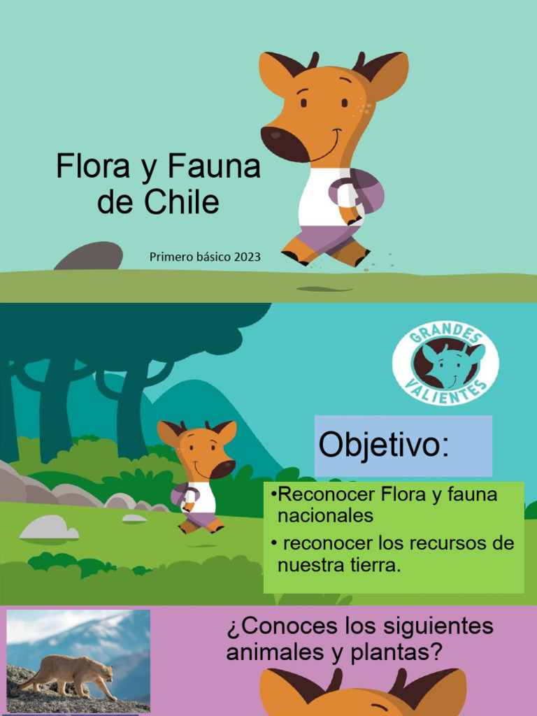 Flora y Fauna de Chile para Niños | PDF | Chile | Clima