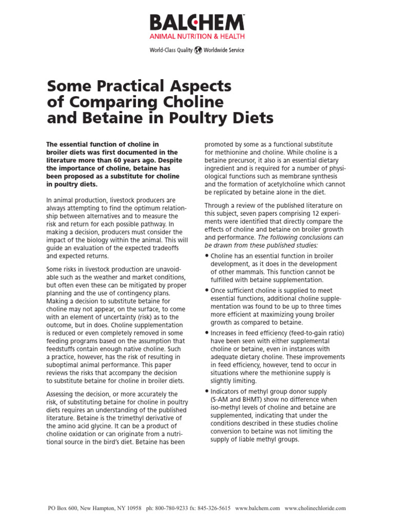 Choline Vs Betaine White Paper 09 | PDF | Methionine | Dietary Supplements