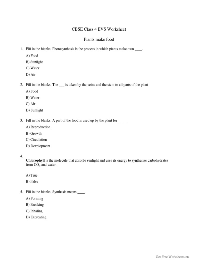 Class 4 Plants Food Worksheet Answers | PDF | Foods | Leaf