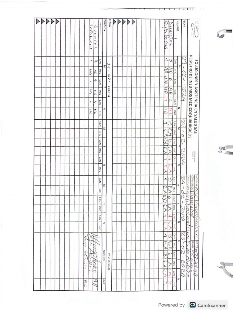 Formato de Insumos 25-02-24 | PDF