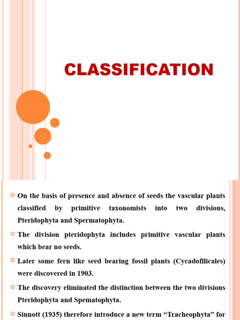 Pteridophytes - Classification Notes | PDF | Fern | Leaf