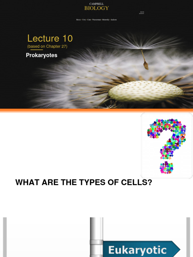 Lecture 10 - Prokaryotes | PDF | Bacteria | Cell (Biology)