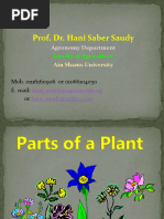 Parts of A Plant - PowerPoint | PDF | Seed | Plants