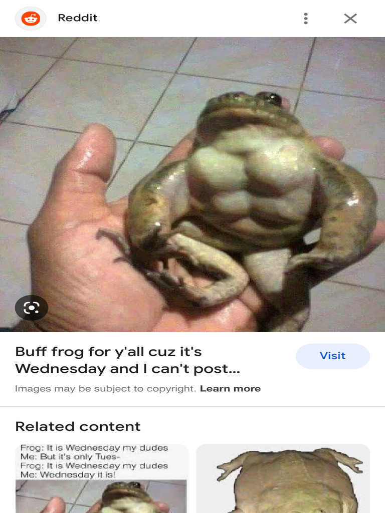 Buff Wednesday Frog - Google Search | PDF