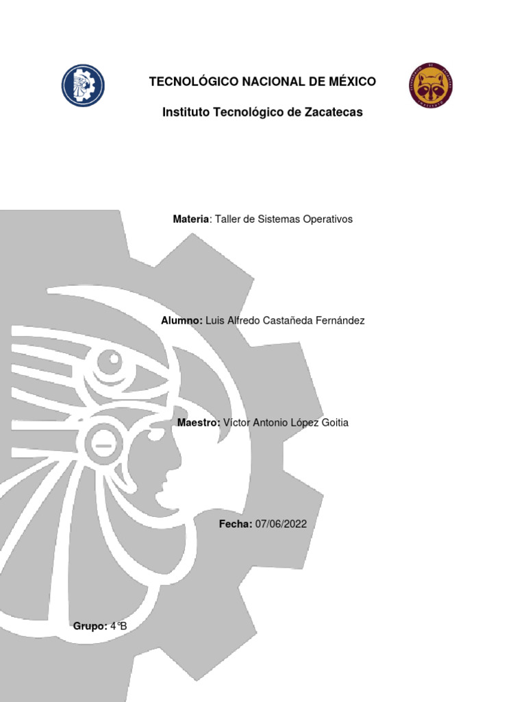 Interoperabilidad Entre Sistemas Operativos | PDF | Zócalo de red ...