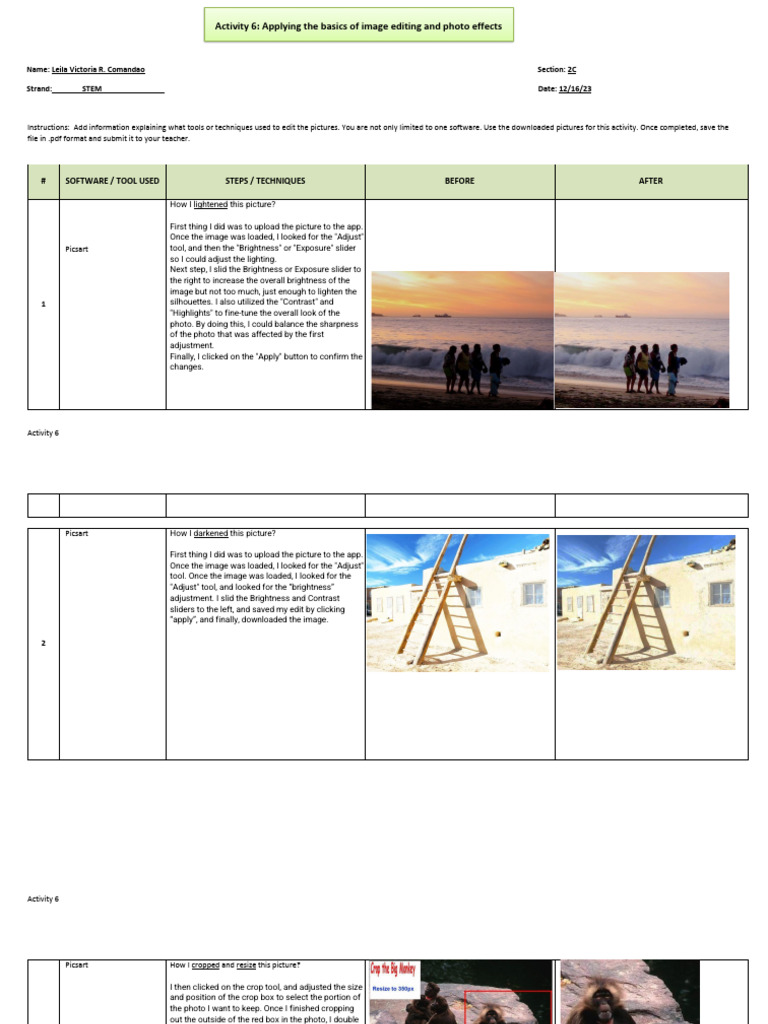 Image Manipulation Activity Answered | PDF | Image Editing | Vision