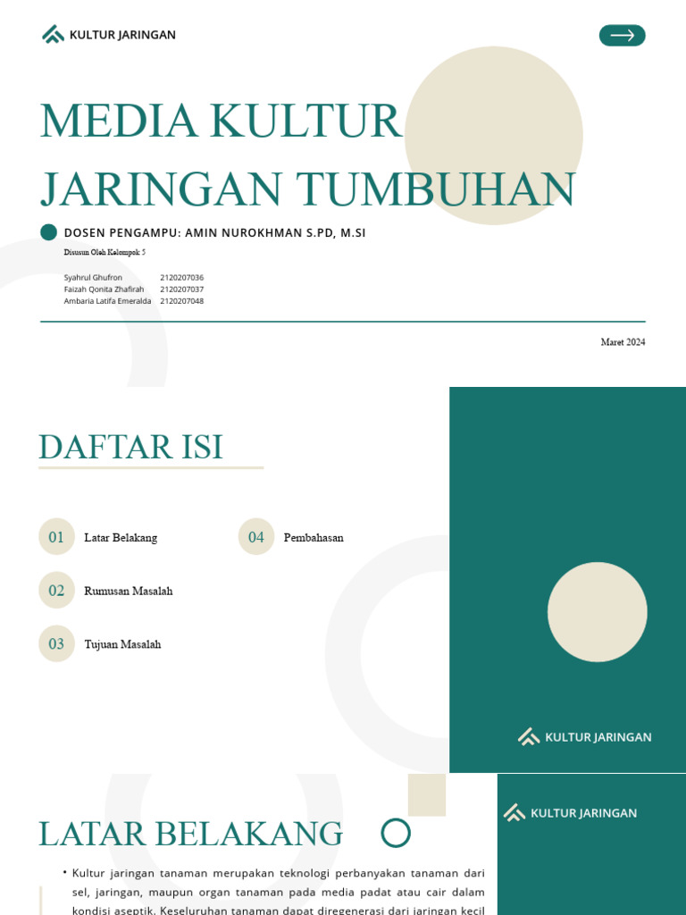Media Kultur Jaringan Tumbuhan | PDF