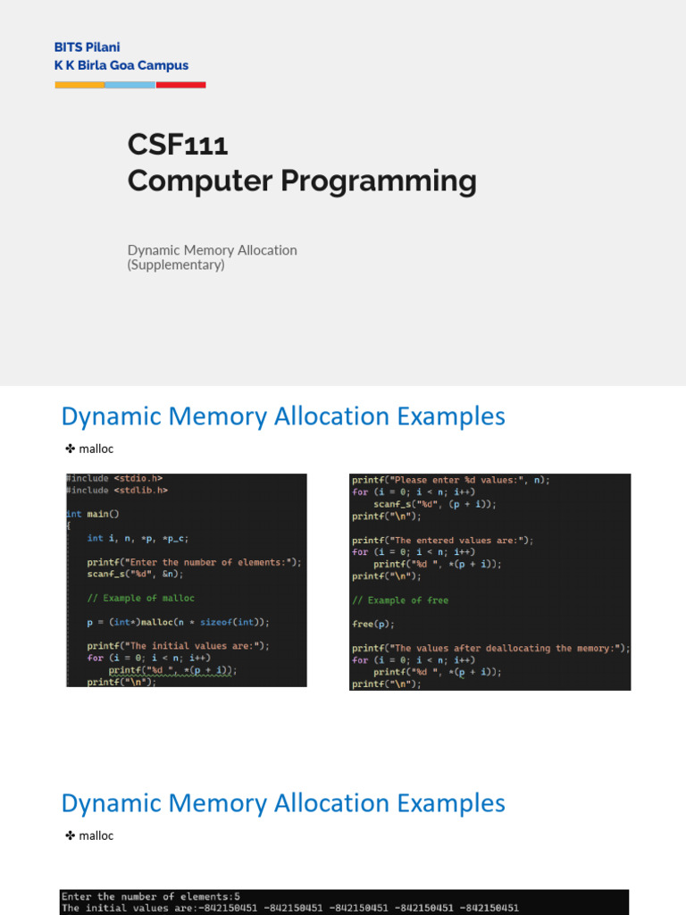 Cp13 Dynamic Memory Allocation Supplementary Pdf Pointer Computer Programming Software