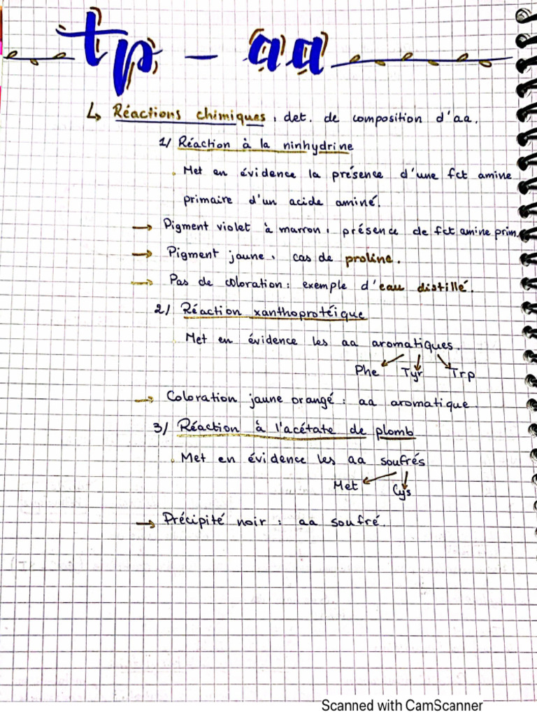 TP Acides Aminés | PDF