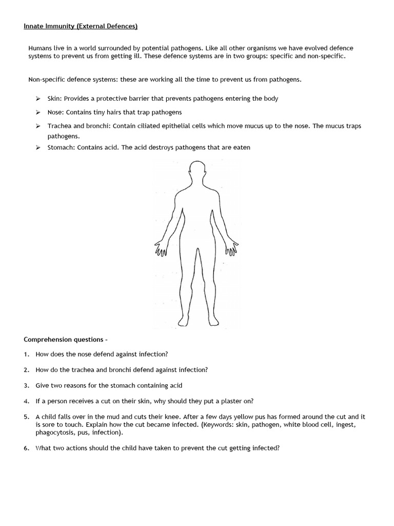 External Defences | Download Free PDF | Mucus | Immune System