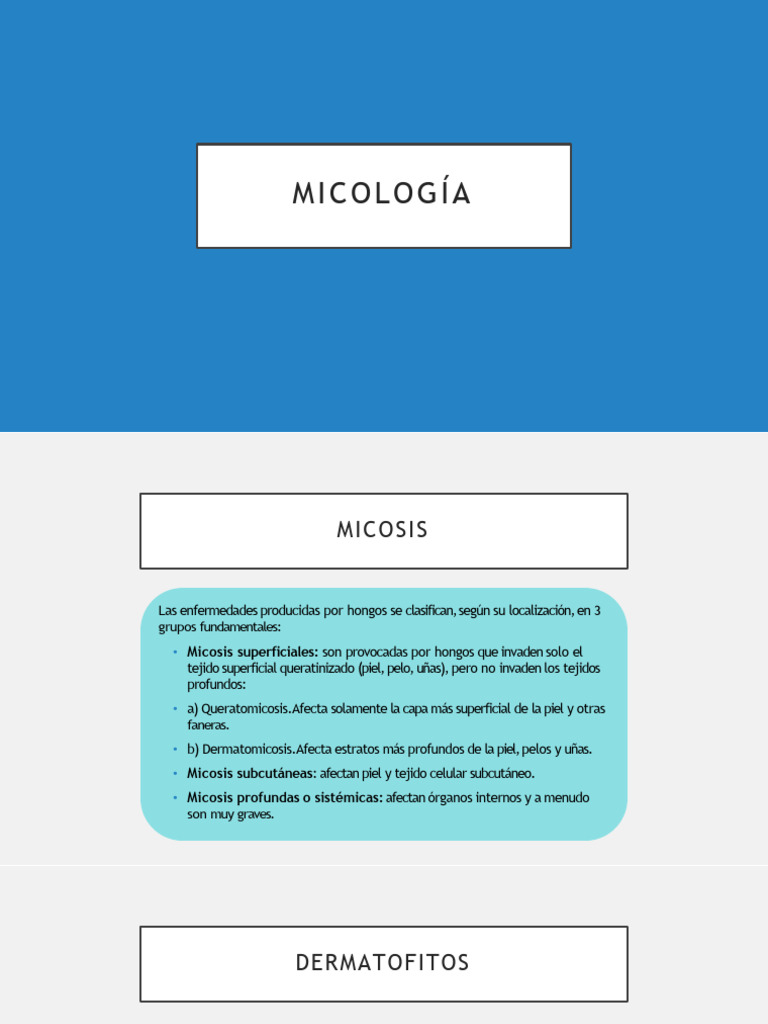 Clasificación y Tipos de Micosis | PDF | Candidiasis | Condiciones cutáneas