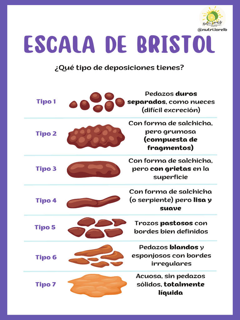 Escala de Bristol y Orina | PDF