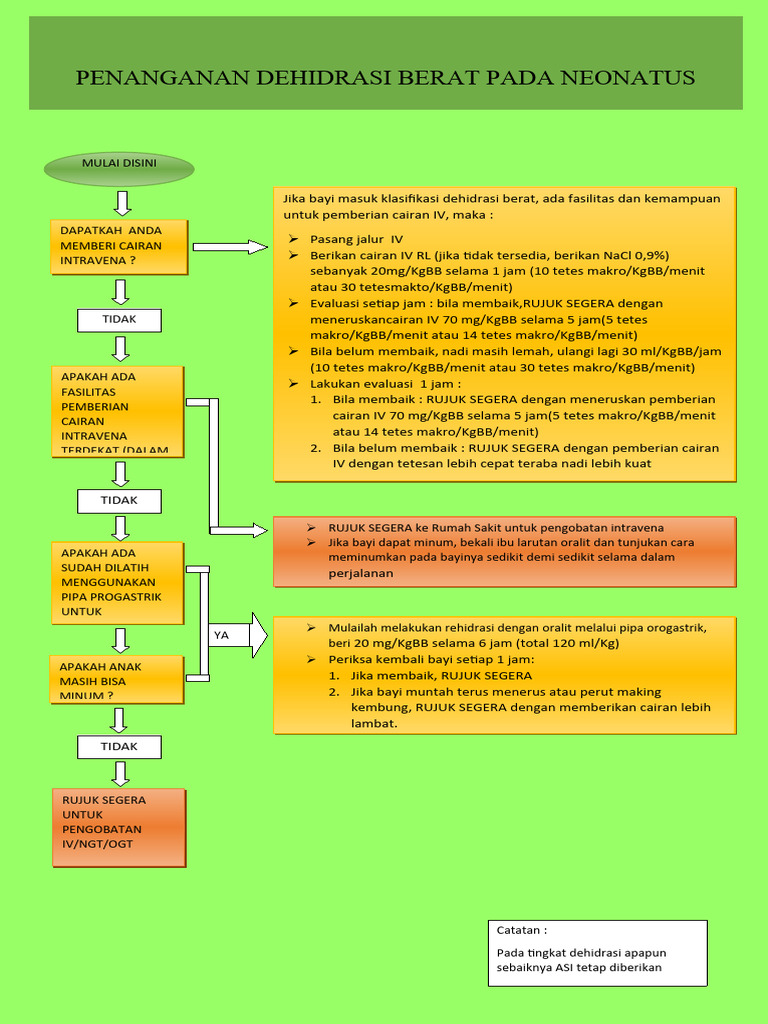 Poster Dehidrasi Berat Neonatus | PDF