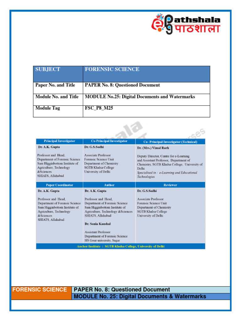 Digital Documents and Watermarks | PDF