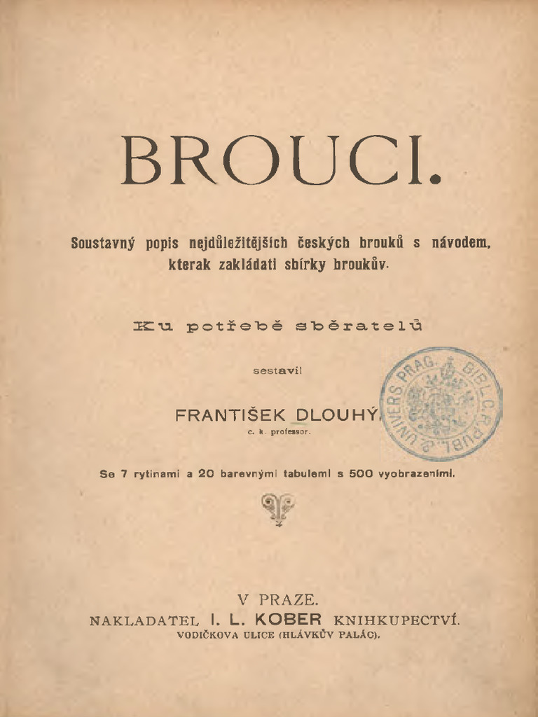 Brouci | PDF