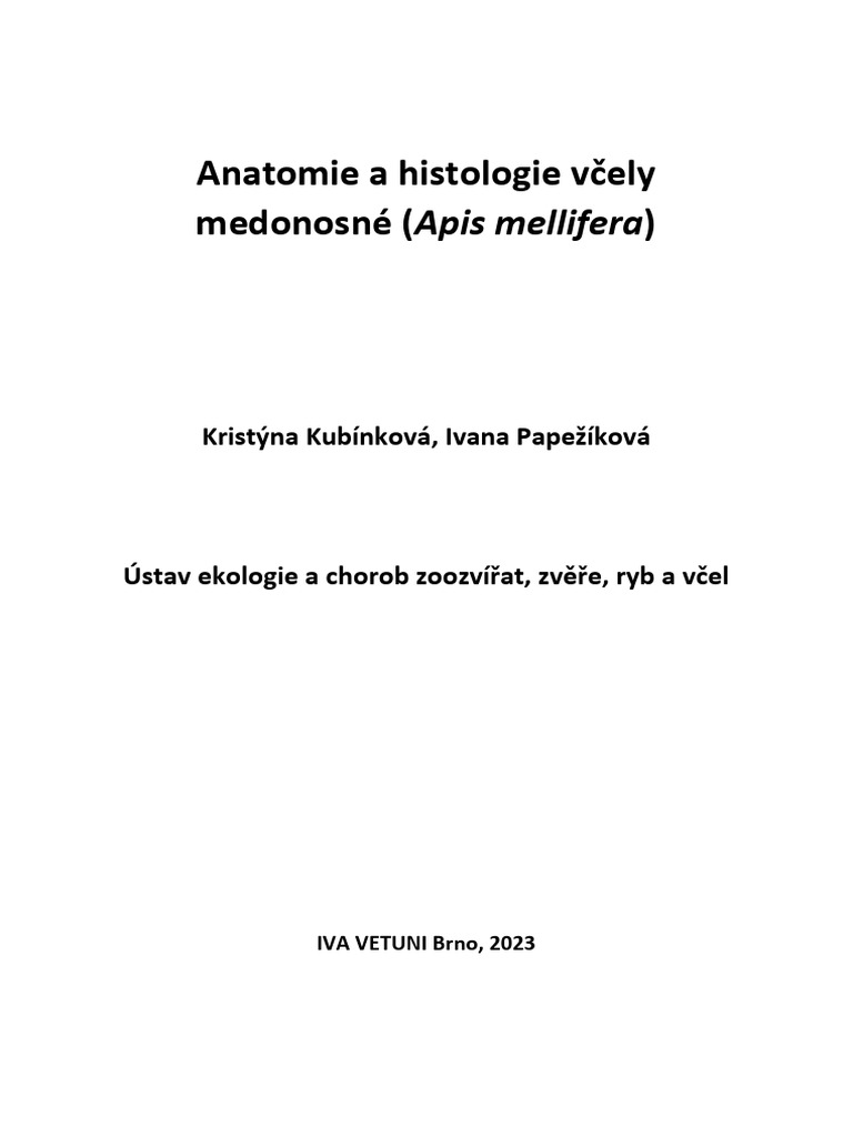 Anatomie Vcely Medonosne FINAL Corr | PDF