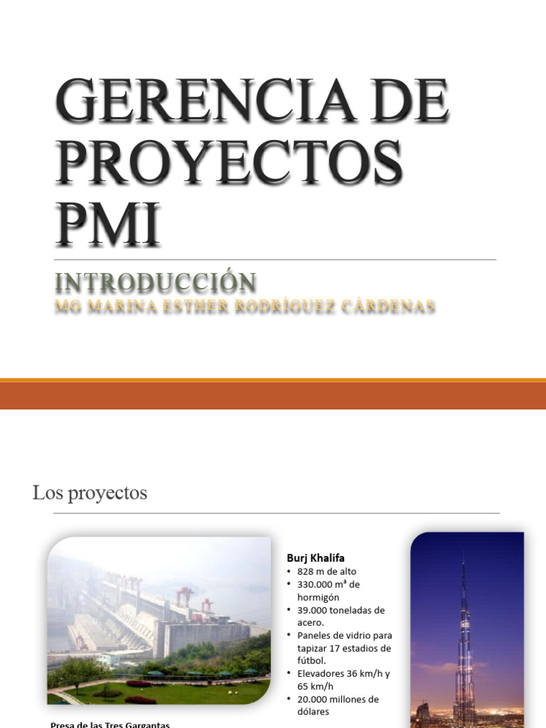 01 - Introducci N | PDF | Gestión de proyectos | Business