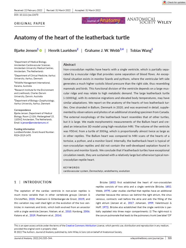 Journal of Anatomy - 2022 - Jensen - Anatomy of the Heart of the ...