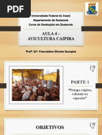 Tabela de Anilhas FOB 2025 | PDF | Aves | Ornitologia