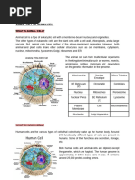 CBSE Class 9 Science Sample Question Paper (Set 1) 2024-25 FREE PDF ...