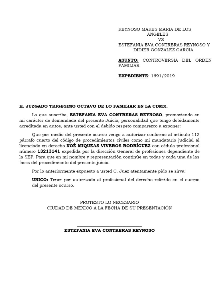 Autorizacion Panfi | PDF