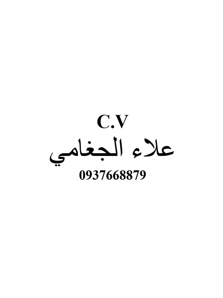 Alaa CV Syria | PDF