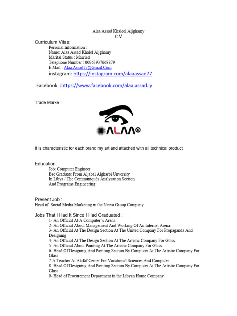 Alaa CV Eng | Download Free PDF | Computing