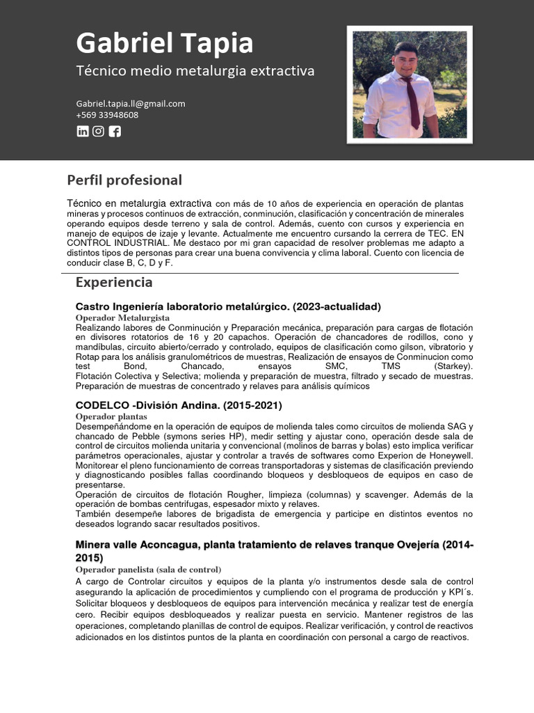 CV Gabriel Tapia Actual | PDF | Metalurgia | Minería