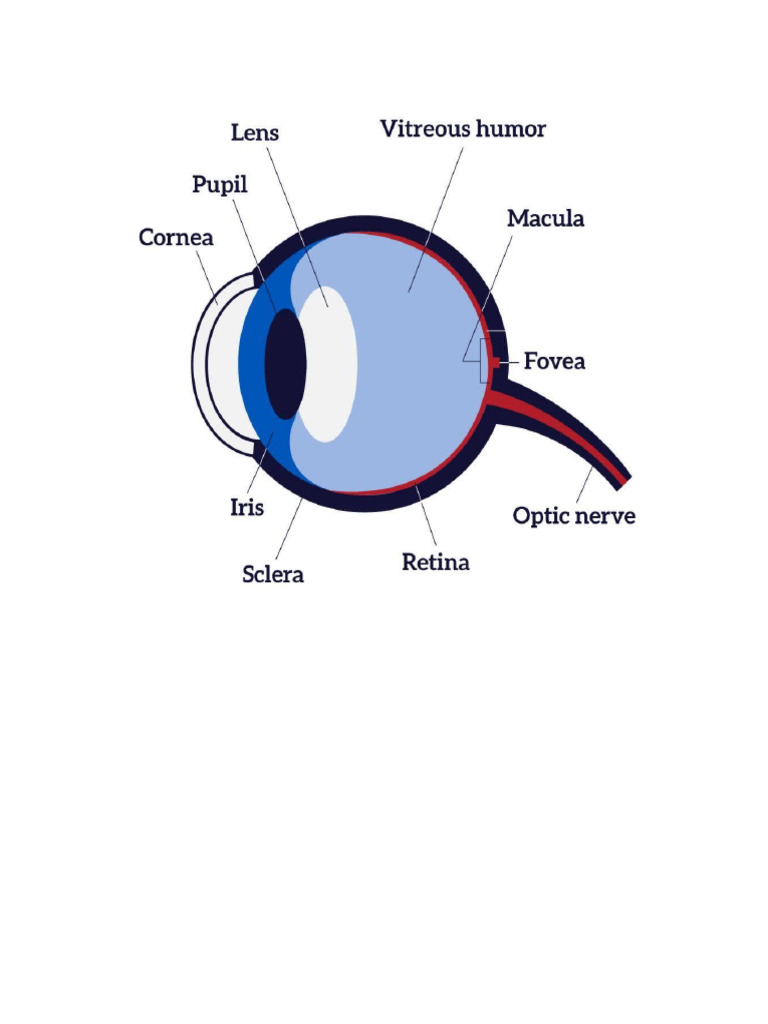 Eye Digram | PDF