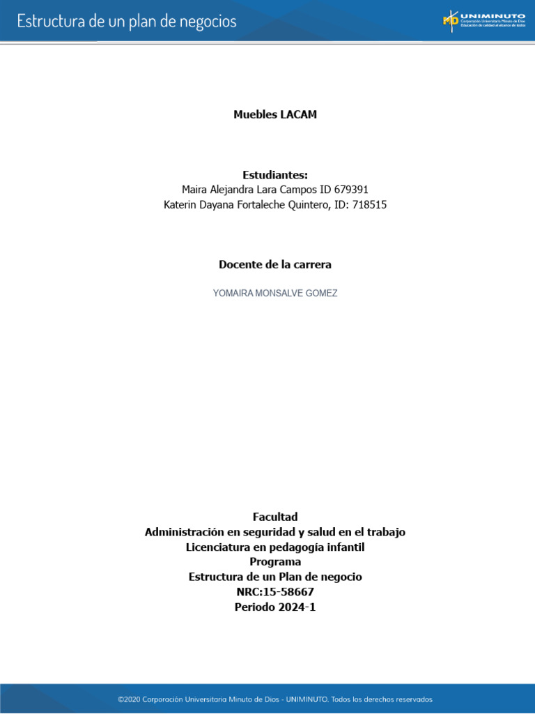 Plan de Negocio para Muebles LACAM | PDF | Marketing | Producto (Negocio)