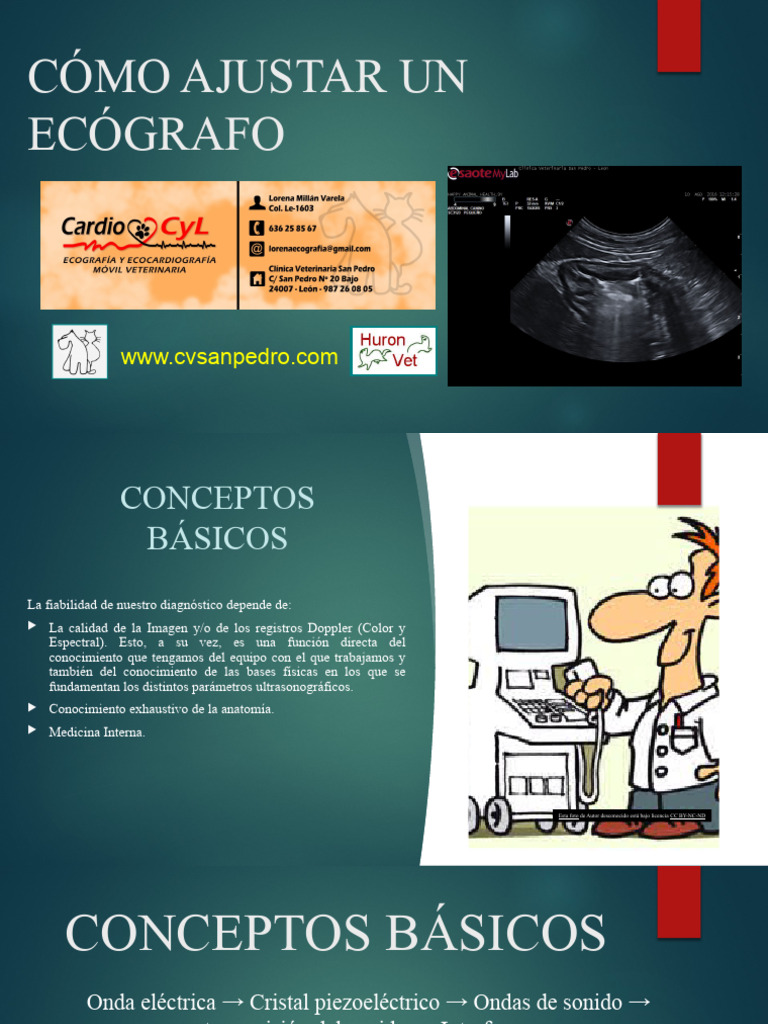 Cómo Ajustar Un Ecógrafo | PDF | Ultrasonido | Ultrasonido médico