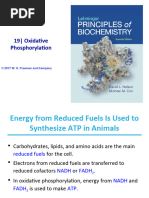 Introduction To Deterministic Models | PDF | Mathematical Model ...