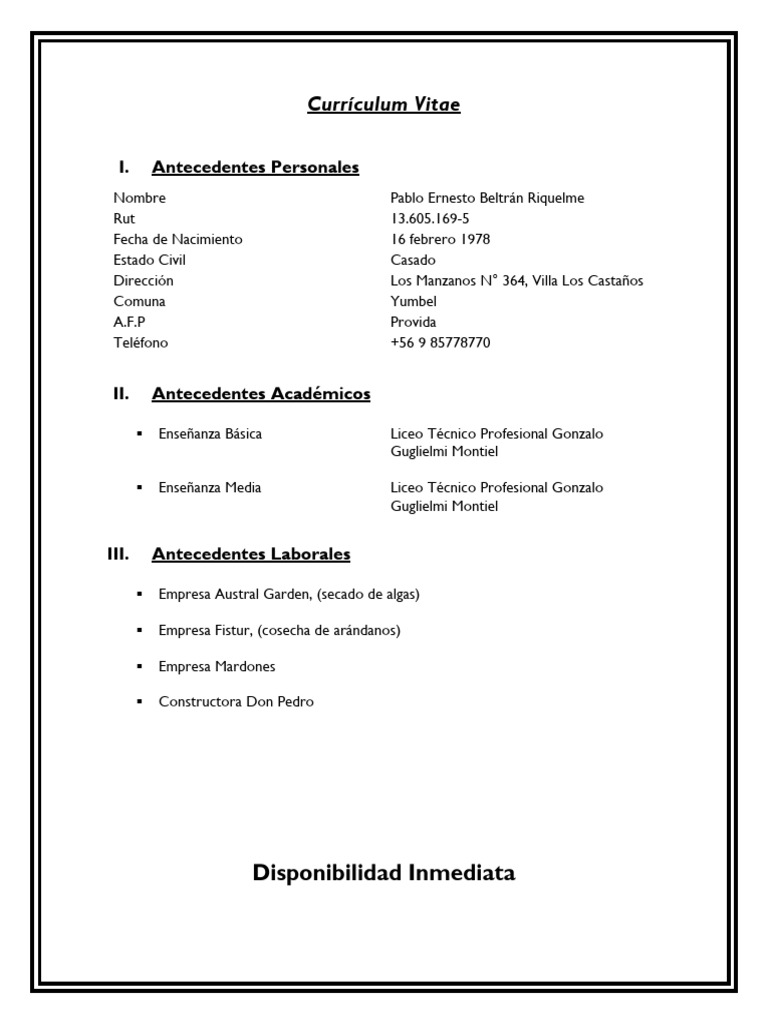 cv Pablo Beltran | PDF