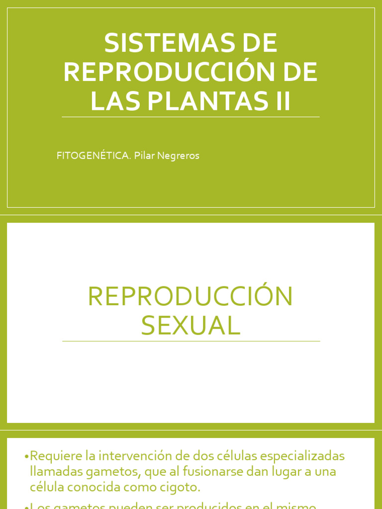 Sistemas de Reproducción de Las Plantas II | PDF | Dominancia (Genética ...