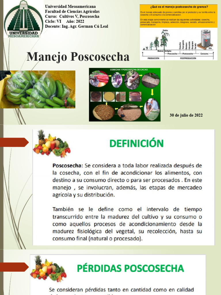 Sesión 30 Julio - 1. Manejo Poscosecha. | PDF | Agricultura | Seguridad alimentaria