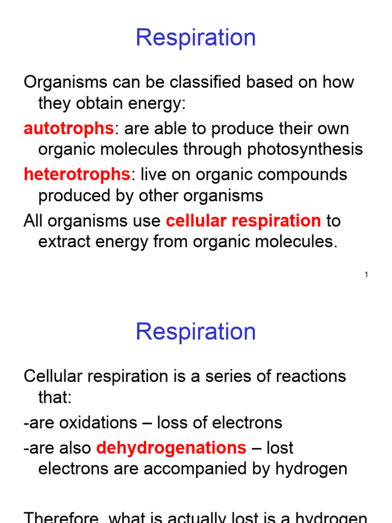 respiration | PDF | Cellular Respiration | Electron Transport Chain