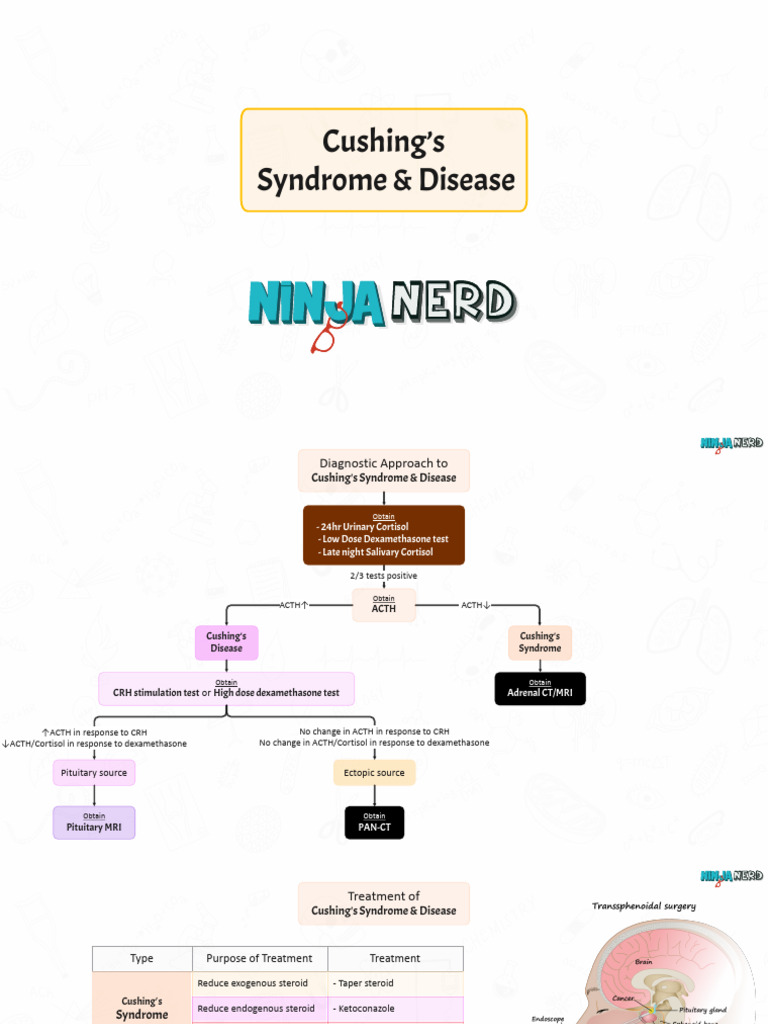 Cushing's Syndrome Diagnosis & Treatment | PDF | Endocrine System ...