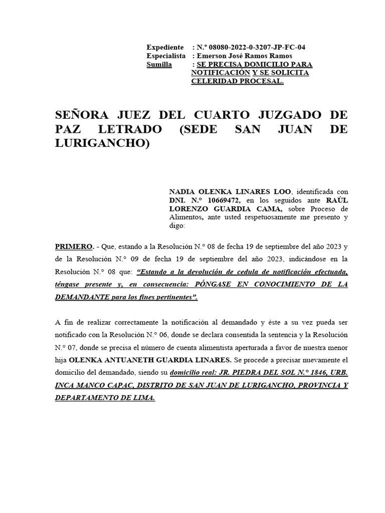 Escrito Mandando Croquis y Pidienco Celeridad Procesal | PDF | Demanda judicial | Justicia