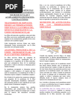 Fisiología de la Placa Motora | PDF | Unión neuromuscular | Sinapsis