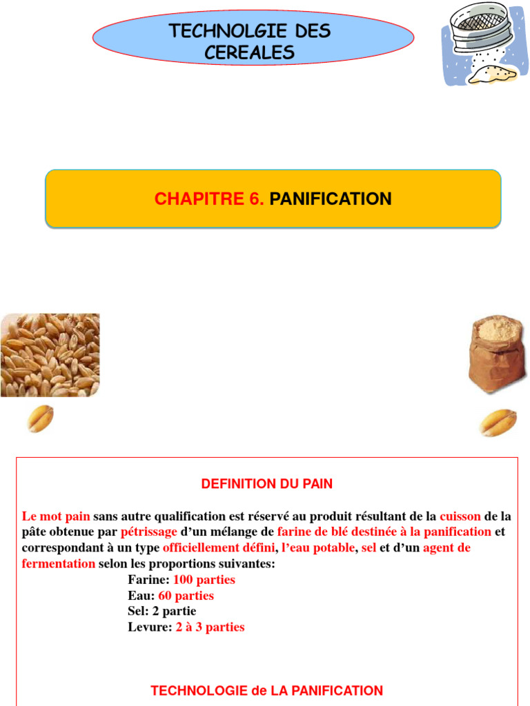 Technologie de la Panification du Pain | PDF