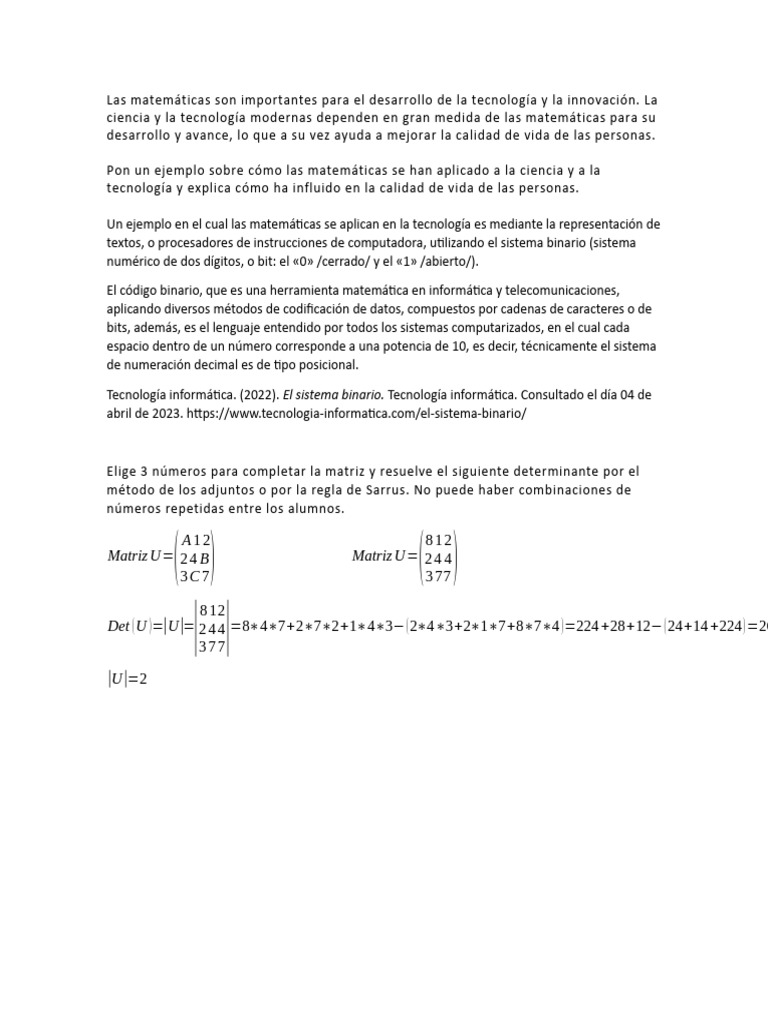 Pregunta Dinamizadora 1 Mate | PDF | Matemáticas | Informática