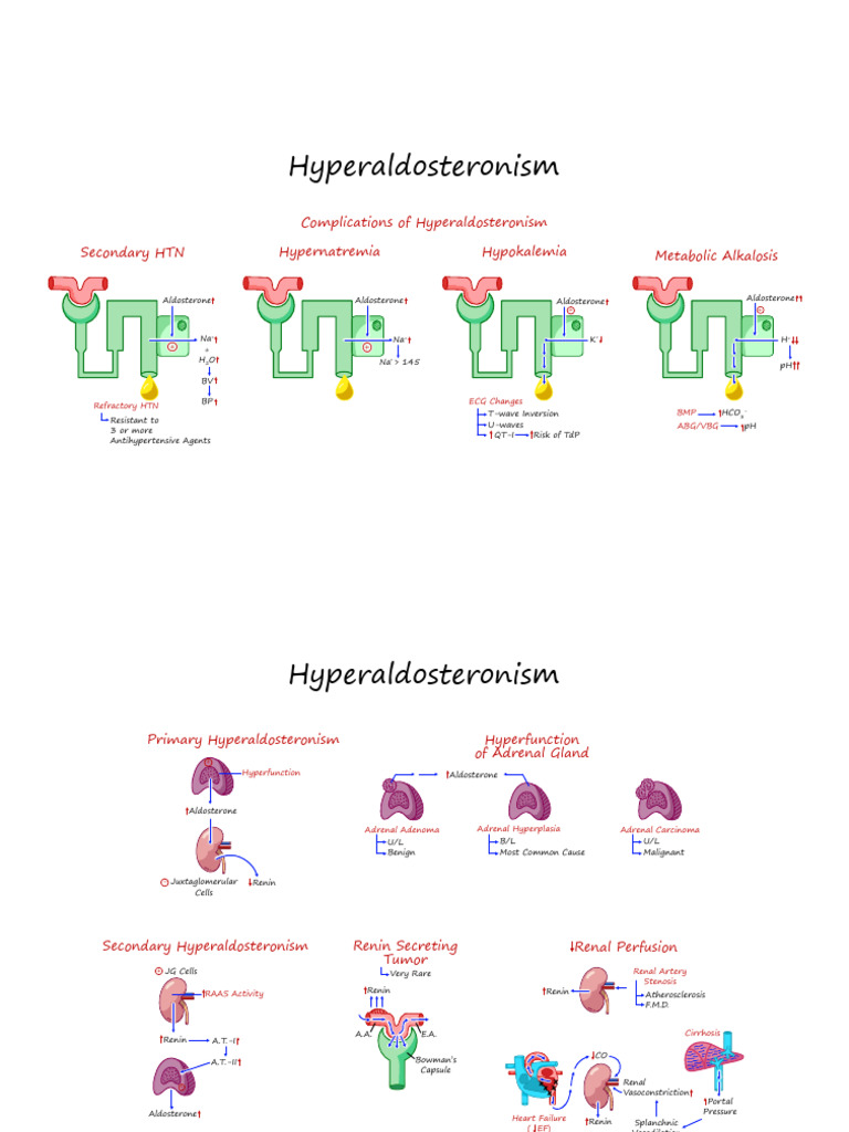 7 - Hyperaldosteronism (Illustrations Key) | PDF | Endocrine | Clinical ...
